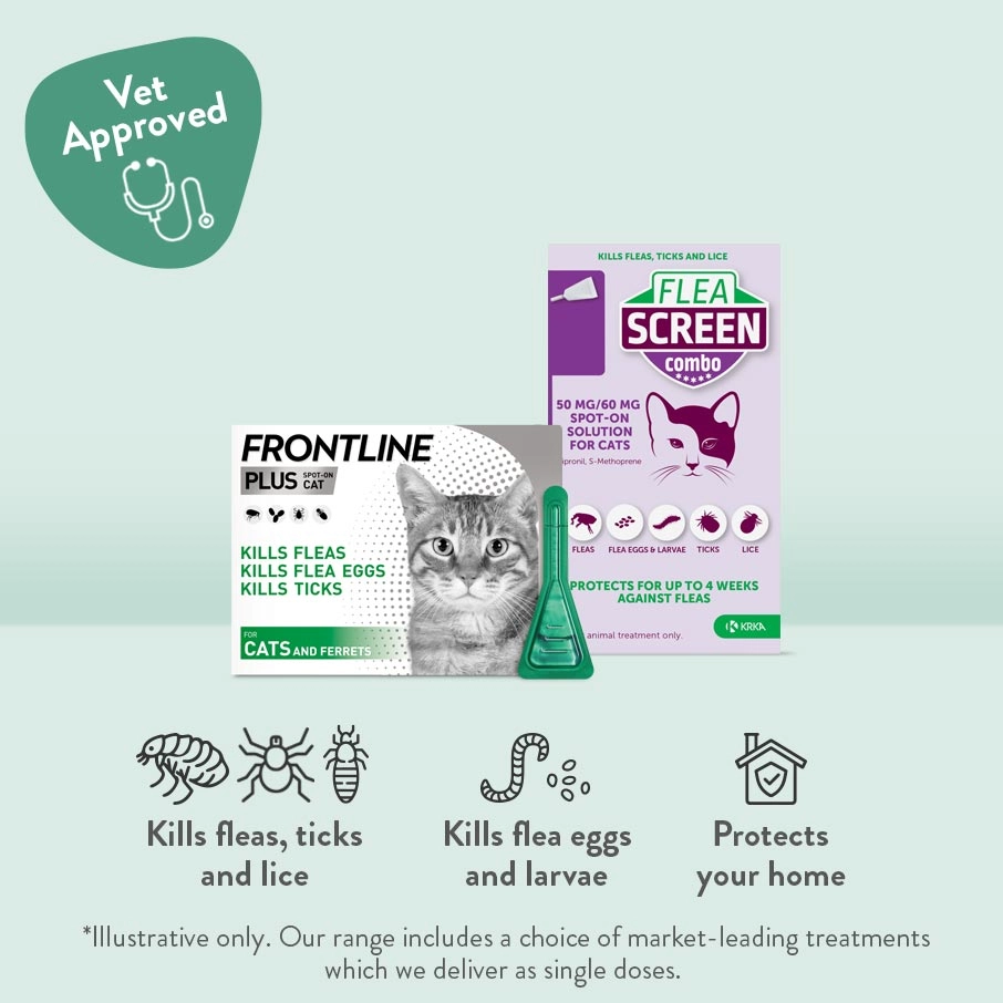 Flea and tick protection for cats - Protect My Pet | Award-Winning Flea ...